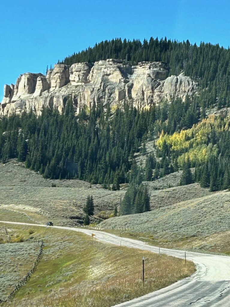 Adventures with the Cowboy - Gail Cushman